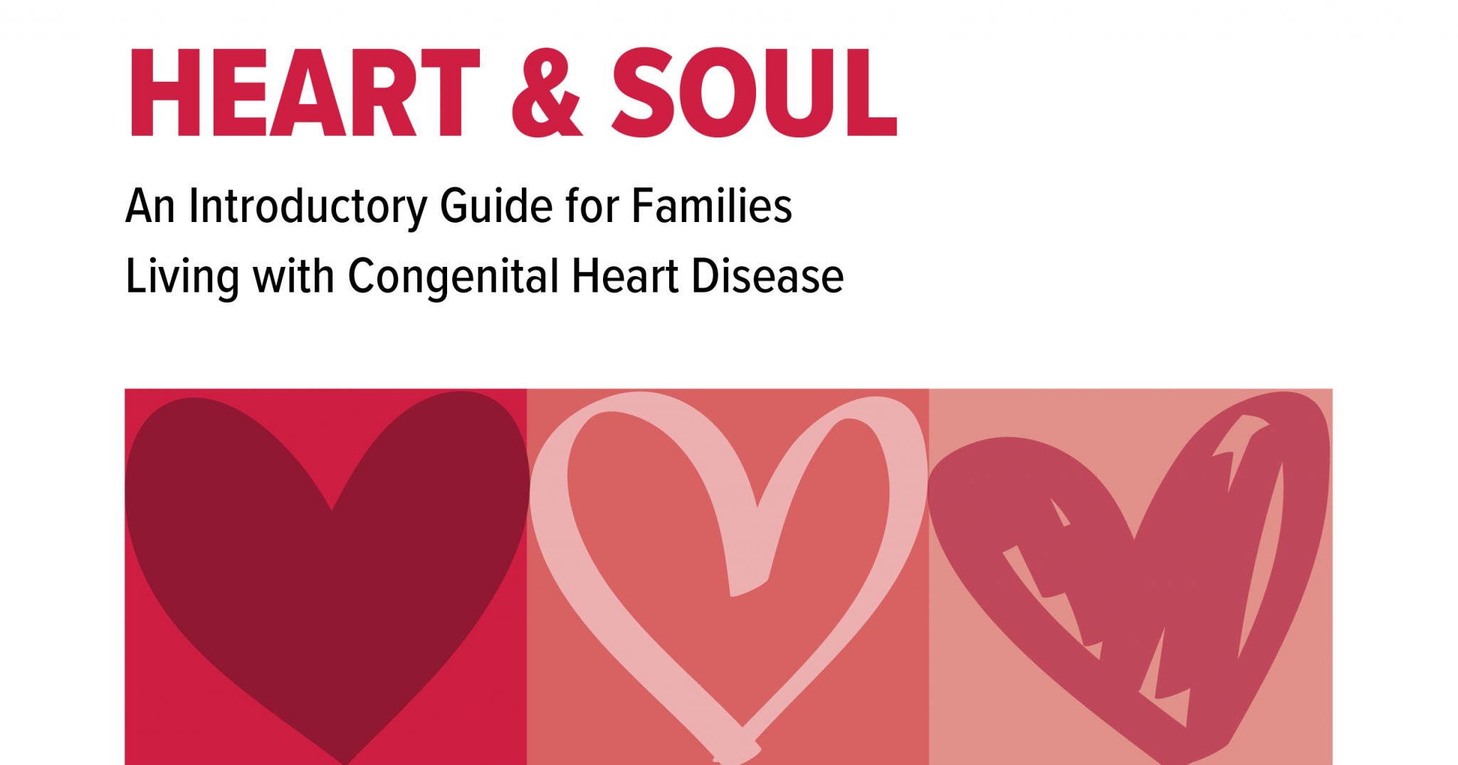 Heart & Soul: An Introductory Guide for Families Living with Congenital ...